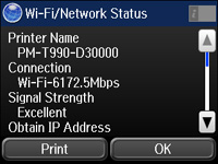 Printing a Network Status Sheet