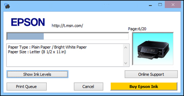 Checking Print Status - Windows