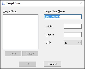 Selecting a Scan Size - Professional Mode