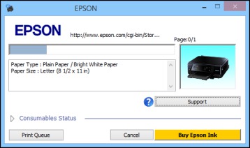 Checking Print Status - Windows