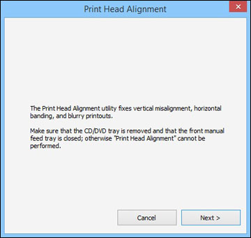 Aligning the Print Head Using a Computer Utility