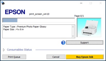 Checking Print Status - Windows