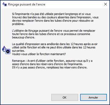 Rinçage de l'encre à l'aide d'un utilitaire sur l'ordinateur