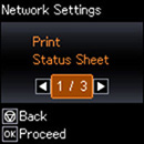Printing a Network Status Sheet