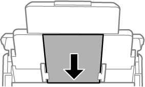 Loading Paper in the Paper Cassettes and Rear Paper Feeder