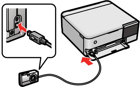 Connecting and Printing from a Camera