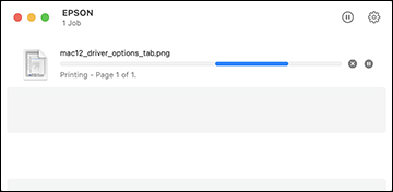 Checking Print Status - Mac