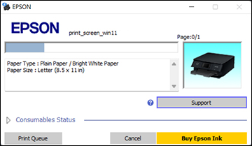 Checking Print Status - Windows