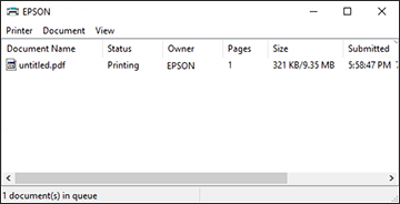 Checking Print Status - Windows