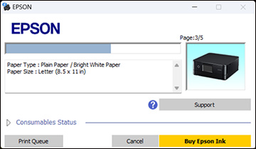 Checking Print Status - Windows