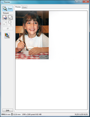 Selecting a Scan Size - Professional Mode