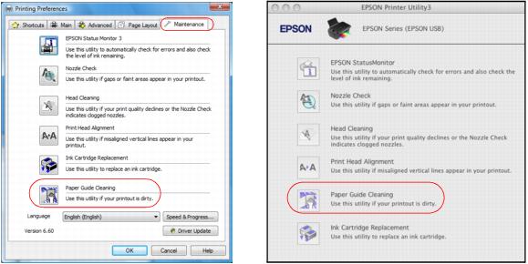 Cleaning the Paper Path