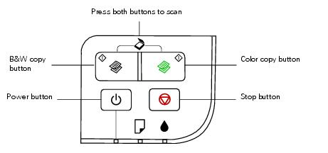Scan From the Control Panel