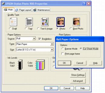 Printing on Roll Paper