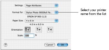 Printing on Roll Paper