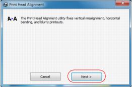 Align the Print Head