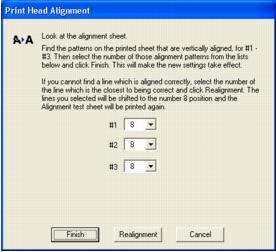 Aligning the Print Head
