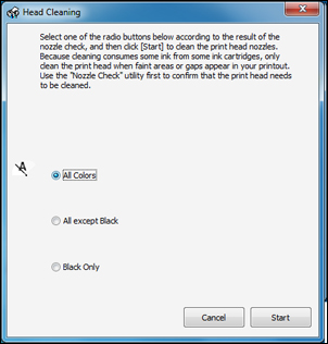 Cleaning the Print Head Using a Computer Utility