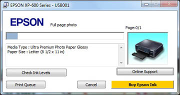 Checking Print Status - Windows